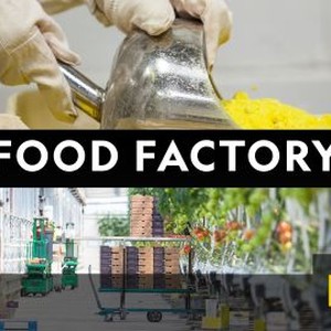 Food Factory - Rotten Tomatoes