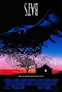 Bats - Rotten Tomatoes