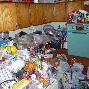 Hoarders: Season 3, Episode 7 - Rotten Tomatoes