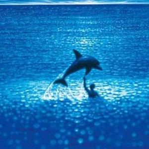 The Big Blue - Rotten Tomatoes