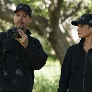 NCIS: Season 19, Episode 21 - Rotten Tomatoes
