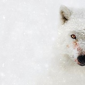 Hostile Planet: Season 1, Episode 2 - Rotten Tomatoes