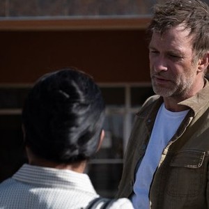 Dig - Rotten Tomatoes