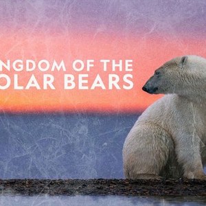 Kingdom of the Polar Bears - Rotten Tomatoes