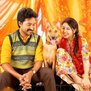 Mehandi Circus - Rotten Tomatoes