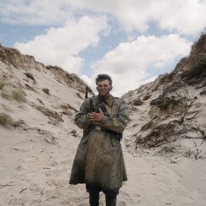 The Fox - Rotten Tomatoes