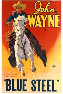Blue Steel | Rotten Tomatoes
