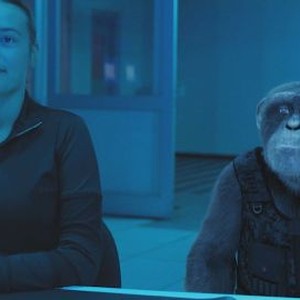 C.I.Ape - Rotten Tomatoes