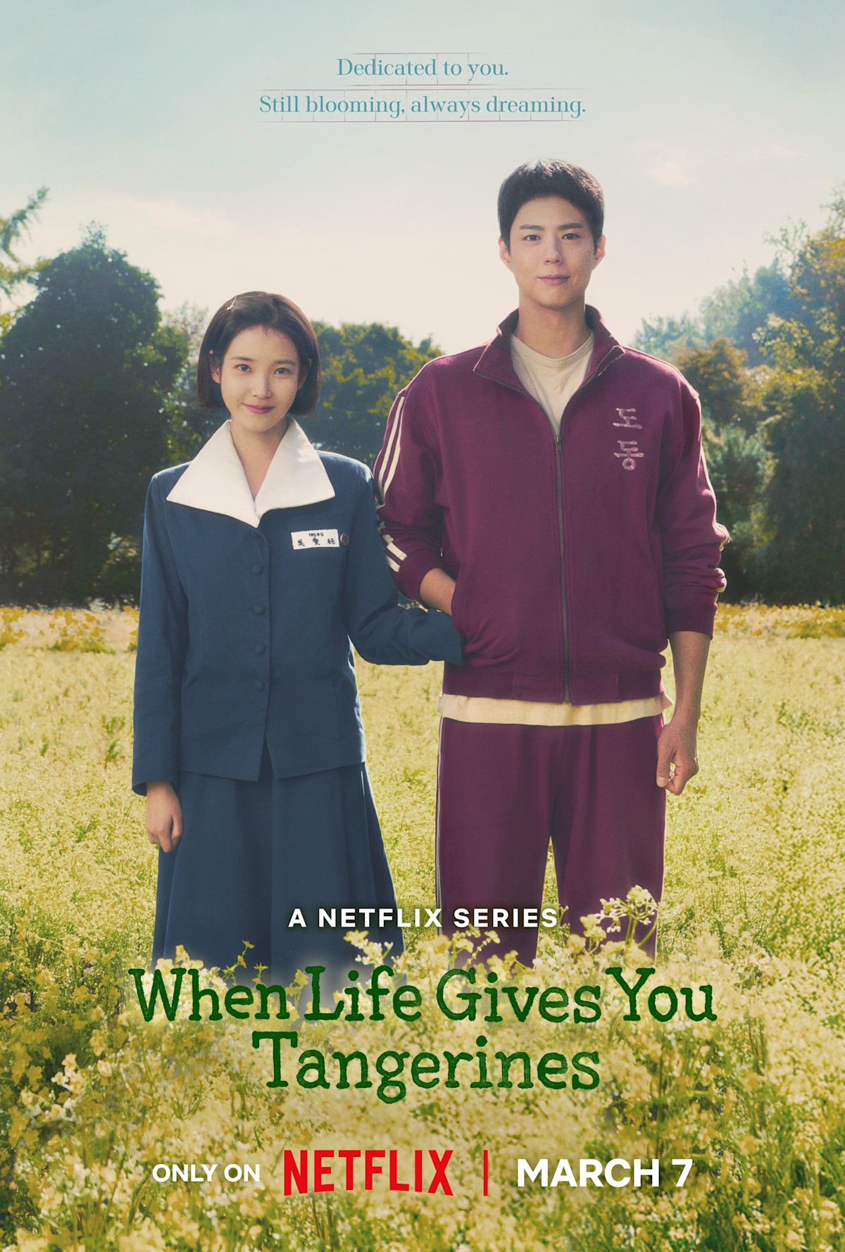 When Life Gives You Tangerines - Trailers & Videos | Rotten Tomatoes