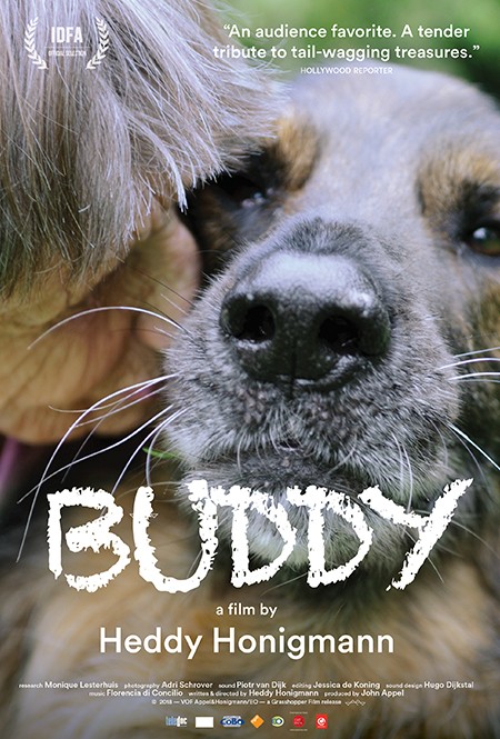 Buddy Pictures | Rotten Tomatoes
