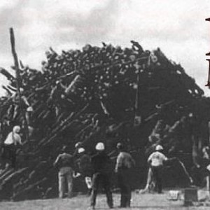 The 13th Man - Rotten Tomatoes