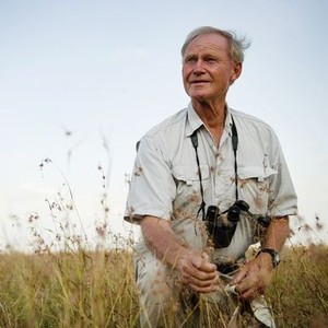 The Serengeti Rules - Rotten Tomatoes