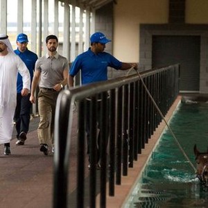 The Cup - Rotten Tomatoes