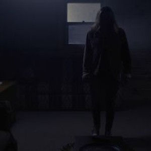 The Luring - Rotten Tomatoes