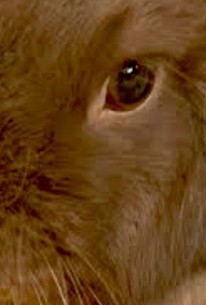 Creature Mania: Season 1, Episode 2 | Rotten Tomatoes
