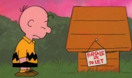 Snoopy, Come Home - Rotten Tomatoes