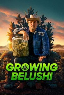 Growing Belushi - Rotten Tomatoes