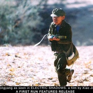 Electric Shadows - Rotten Tomatoes