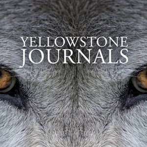 Yellowstone Journals - Rotten Tomatoes