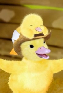 The Wonder Pets!: Season 3, Episode 11 - Rotten Tomatoes