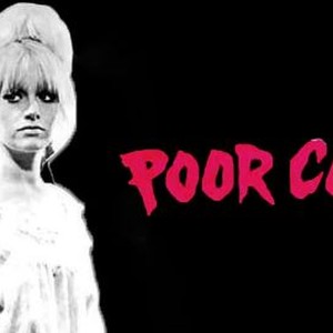 Poor Cow - Rotten Tomatoes