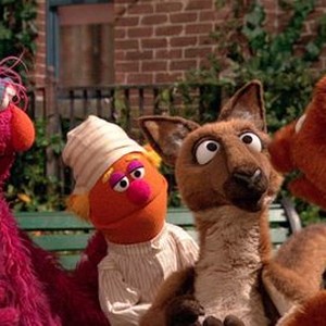Sesame Street: Season 42, Episode 31 - Rotten Tomatoes