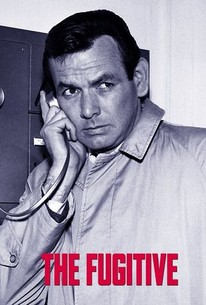 The Fugitive: Season 2 | Rotten Tomatoes