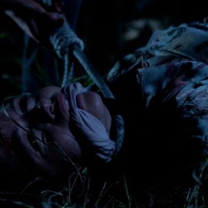 The Hanged Girl - Rotten Tomatoes