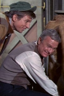 Green Acres: Season 1, Episode 14 | Rotten Tomatoes