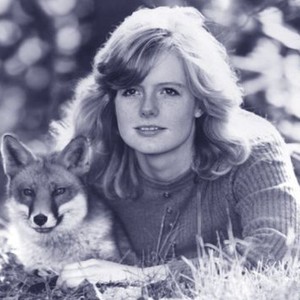 The Belstone Fox - Rotten Tomatoes