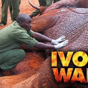 Ivory Wars - Rotten Tomatoes