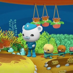 Octonauts: Season 3, Episode 7 - Rotten Tomatoes