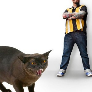 My Cat From Hell - Rotten Tomatoes