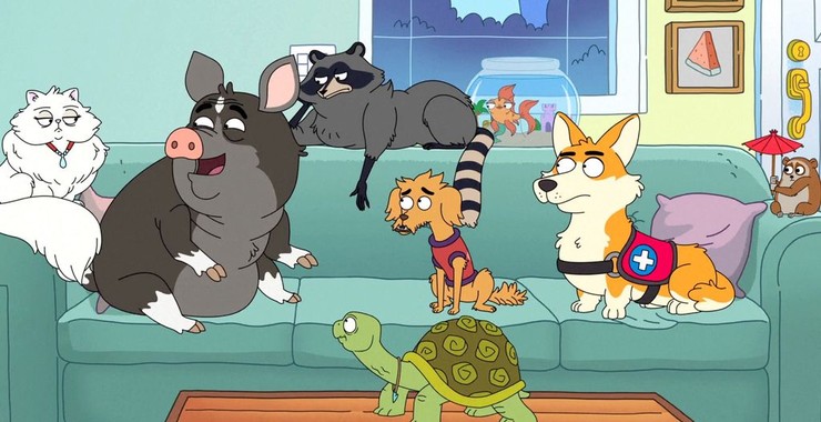 HouseBroken - Rotten Tomatoes