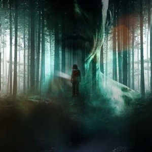 Entity - Rotten Tomatoes