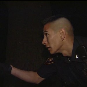 Cops: Season 14, Episode 23 - Rotten Tomatoes