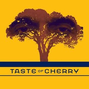 Taste of Cherry - Rotten Tomatoes