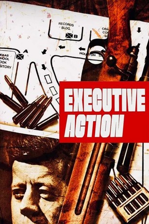 executive action limited