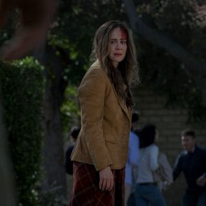 Bird Box - Rotten Tomatoes