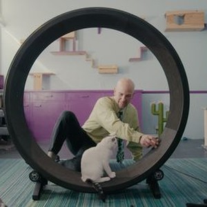 Inside the Mind of a Cat - Rotten Tomatoes