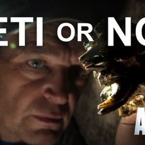 Yeti or Not - Rotten Tomatoes