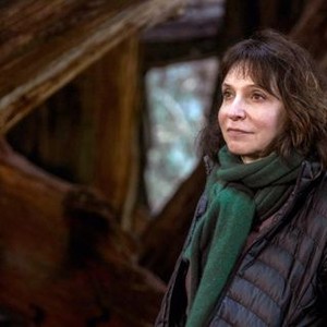 Susanne Bier - Rotten Tomatoes