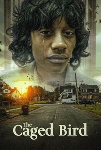 The Caged Bird | Rotten Tomatoes