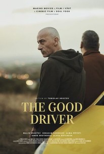The Good Driver | Rotten Tomatoes