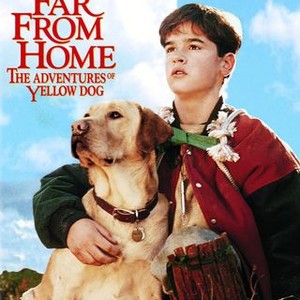 Far From Home: The Adventures of Yellow Dog - Rotten Tomatoes