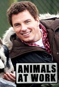 Frisky Business: Season 2 | Rotten Tomatoes