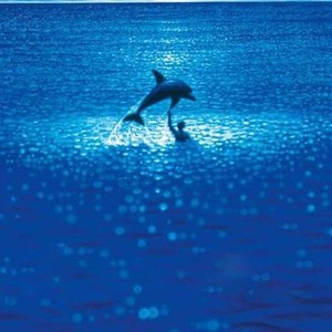 The Big Blue - Rotten Tomatoes