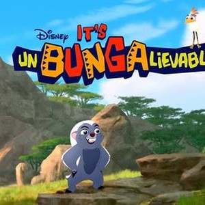 It S Unbungalievable Season 1 Episode 9 Rotten Tomatoes