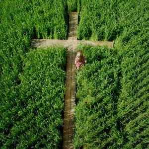 One Generation Away - Rotten Tomatoes