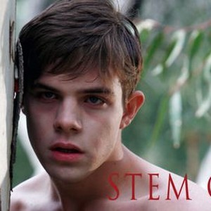 Stem Cell - Rotten Tomatoes